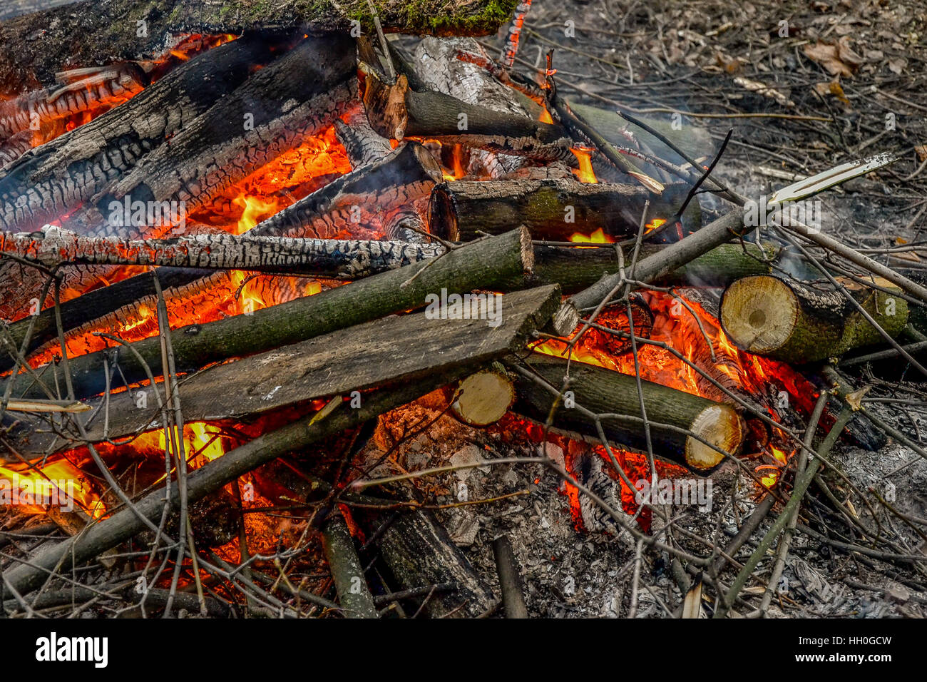 A fire in the Park of felled trees and debris Stock Photo - Alamy