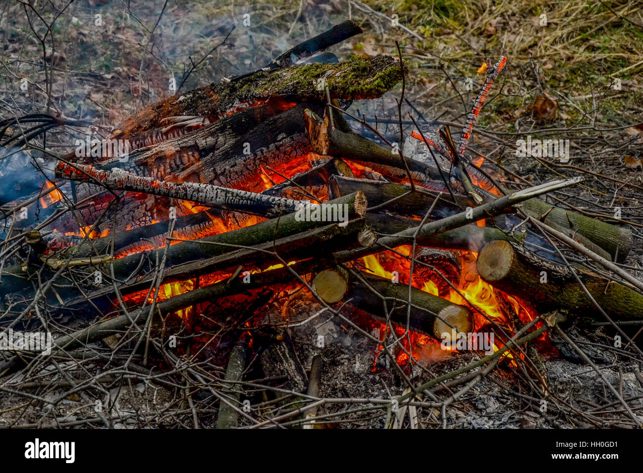 A fire in the Park of felled trees and debris Stock Photo - Alamy