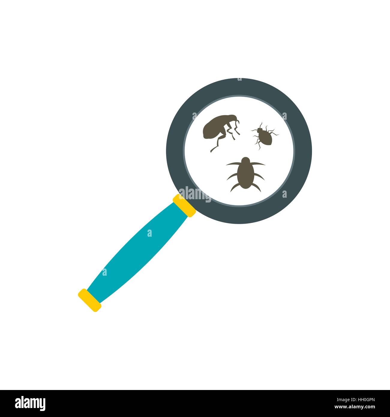 Insect parasites under magnifying glass icon Stock Vector Image & Art ...