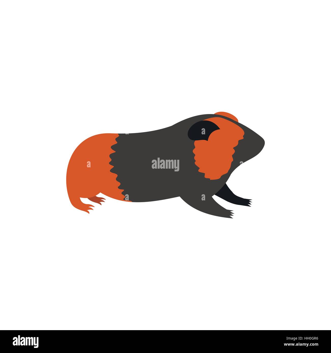 Cute guinea pig in Stock Vector Images - Alamy