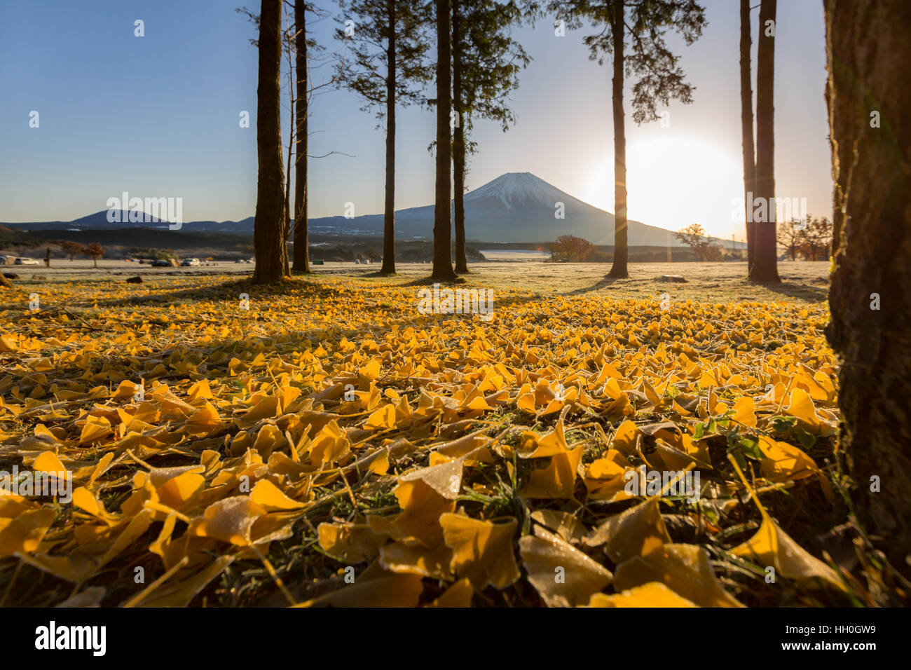Mount Fuji Fujisan sunrise at Fumoto Japan Stock Photo - Alamy
