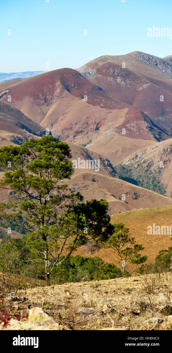 blur in swaziland mlilwane wildlife nature reserve mountain and tree ...