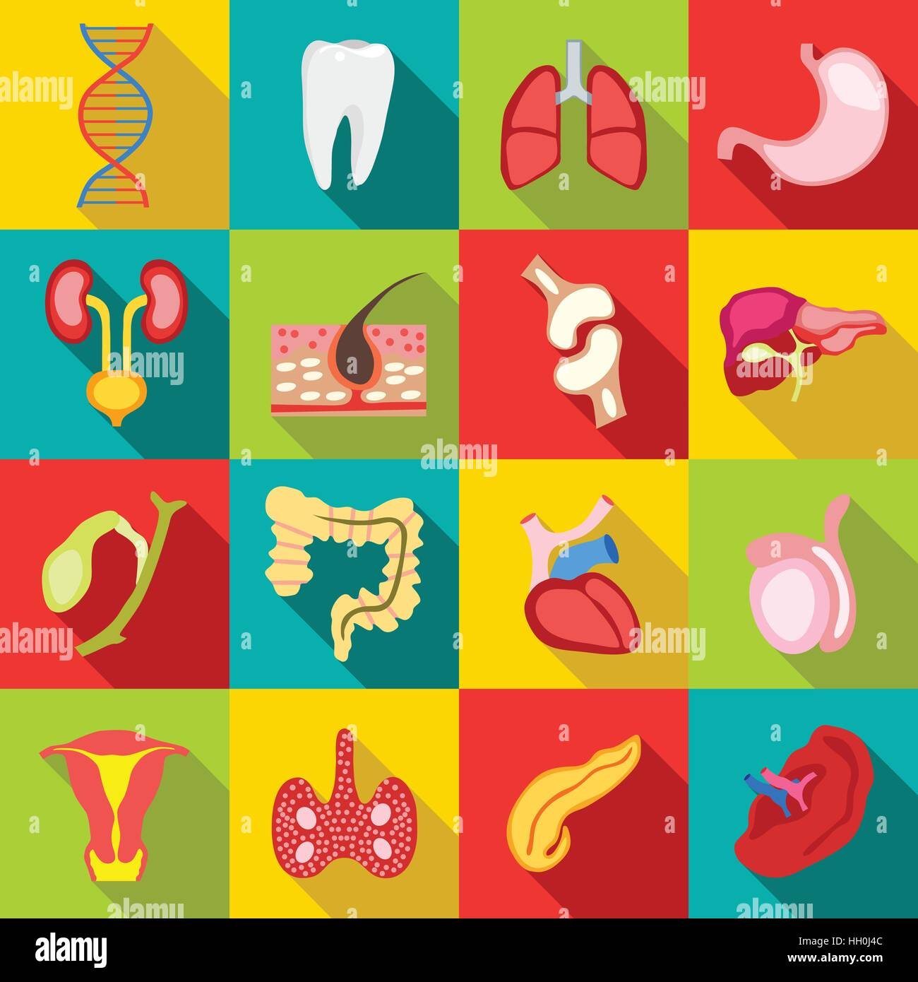 Internal organs icons set, flat style Stock Vector Image & Art - Alamy