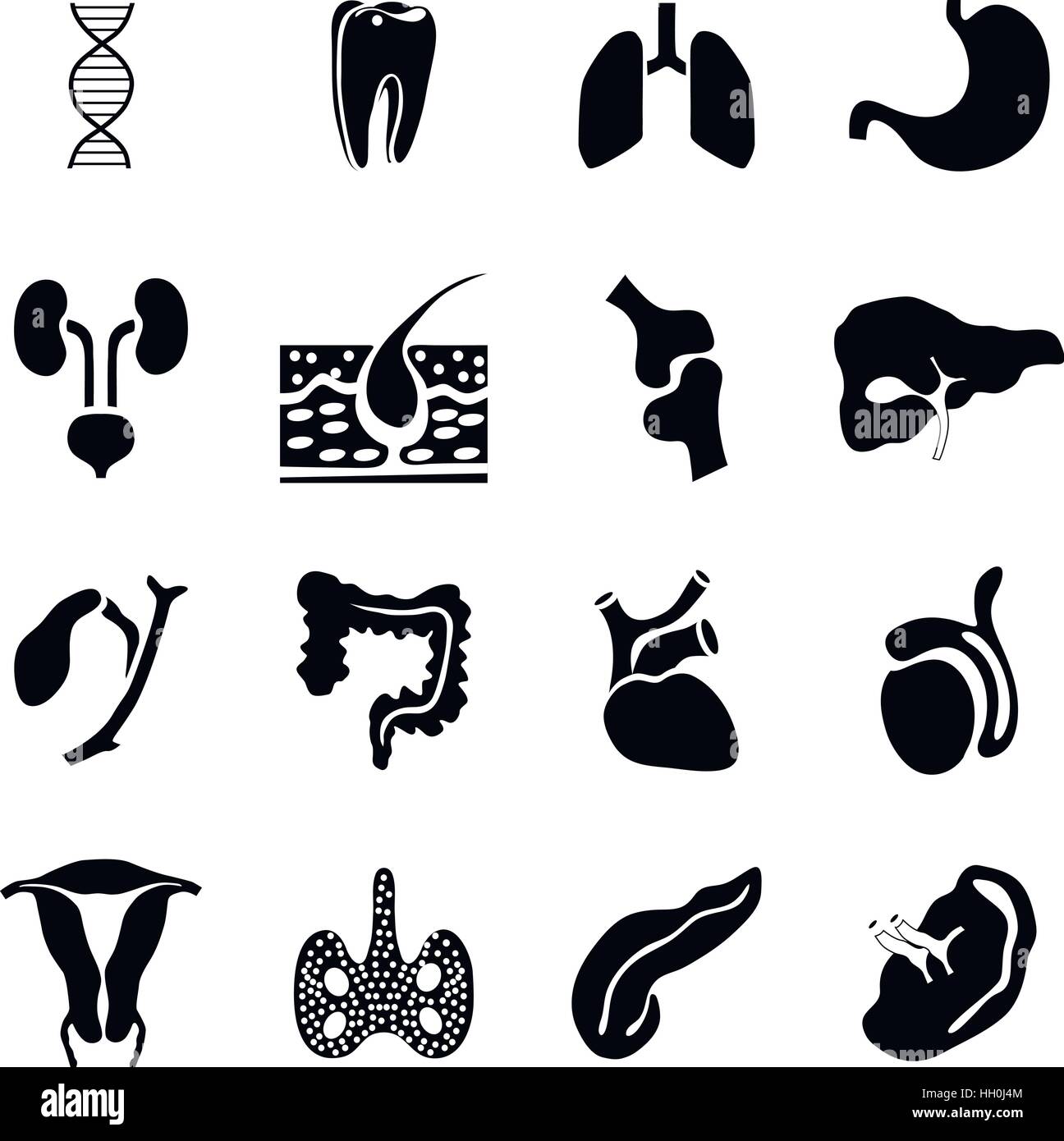 Internal organs icons set, simple style Stock Vector Image & Art - Alamy