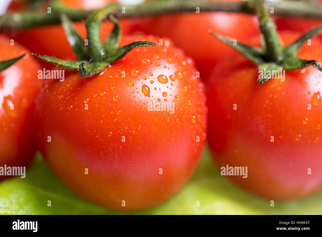 fresh juicy tomatoes Stock Photo - Alamy