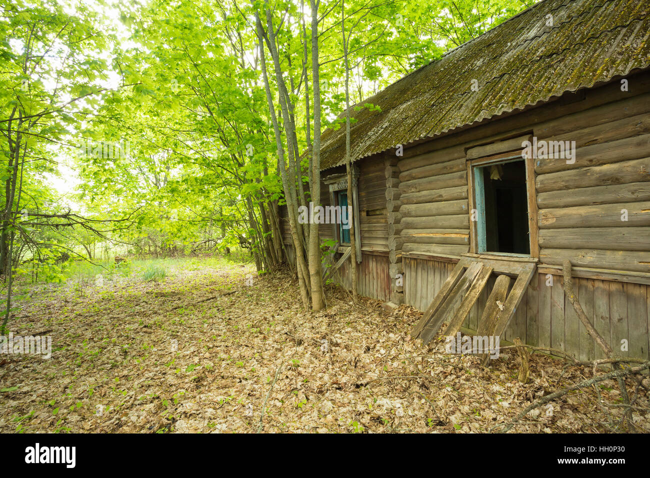 The Dilapidated Old Abandoned Wooden Country Blockhouse, Overgrown By ...