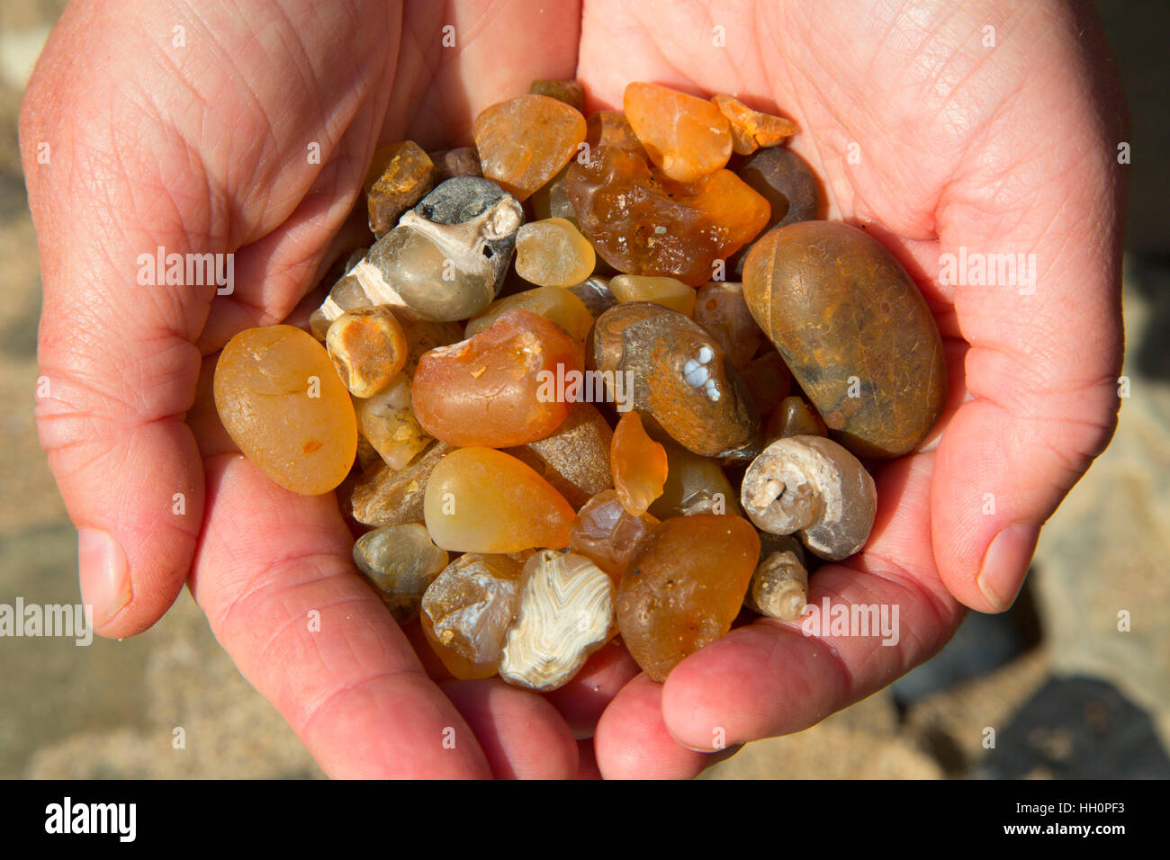 Agates on Moolack Beach, Newport, Oregon Stock Photo - Alamy