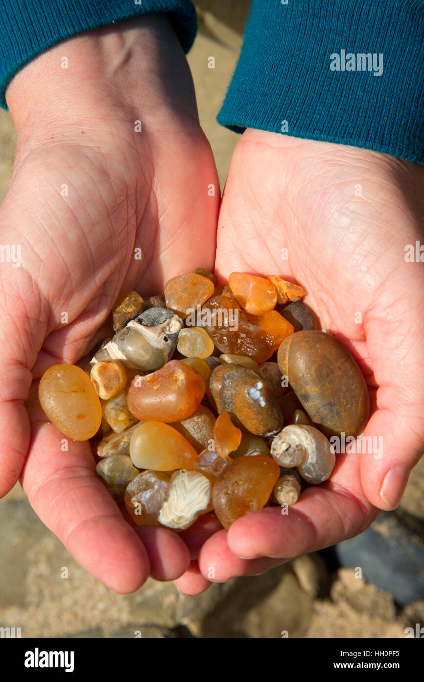 Agates on the beach hi-res stock photography and images - Alamy