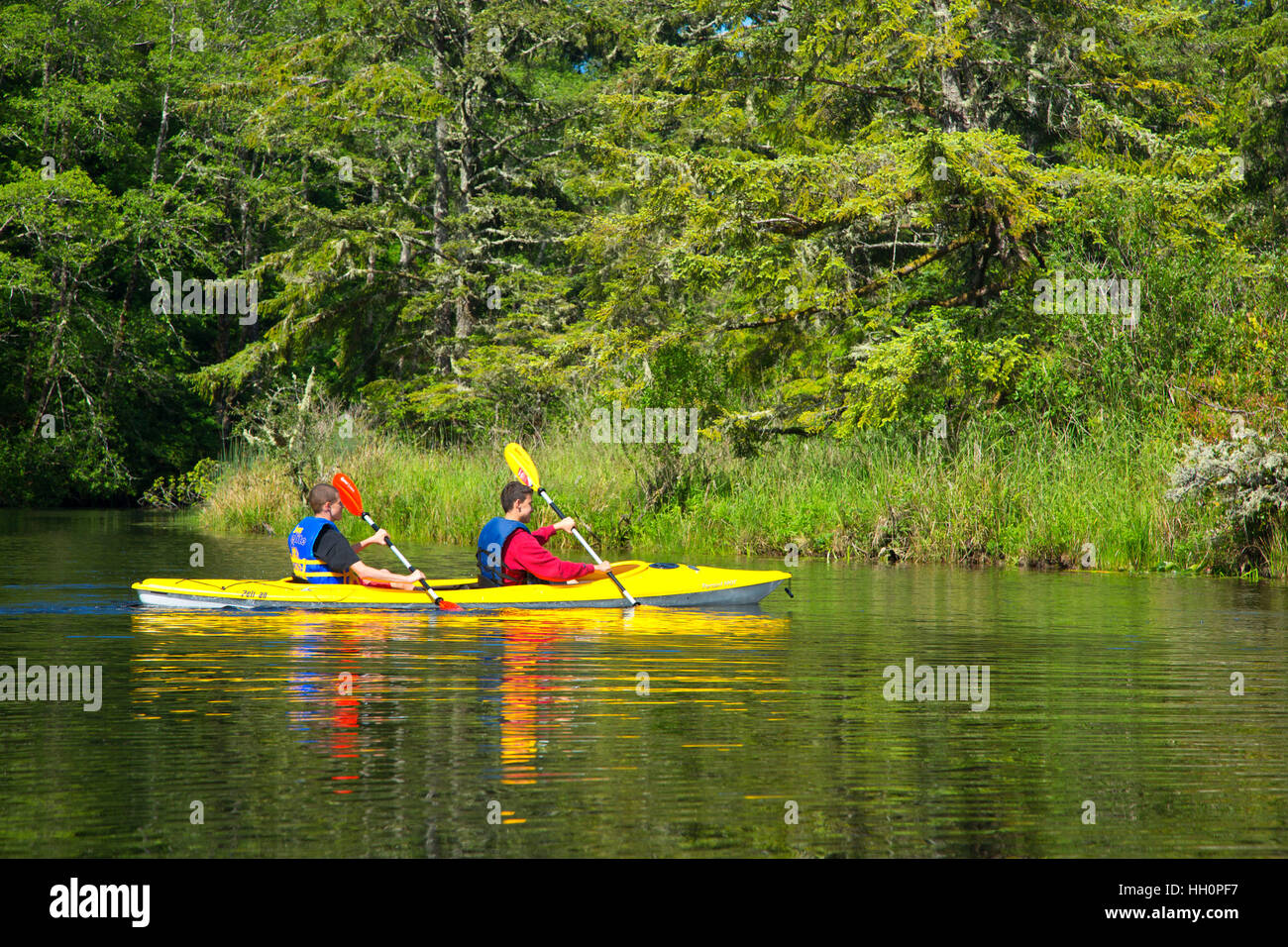 Kayaker on Beaver Creek, Brian Booth State Park, Oregon Stock Photo - Alamy