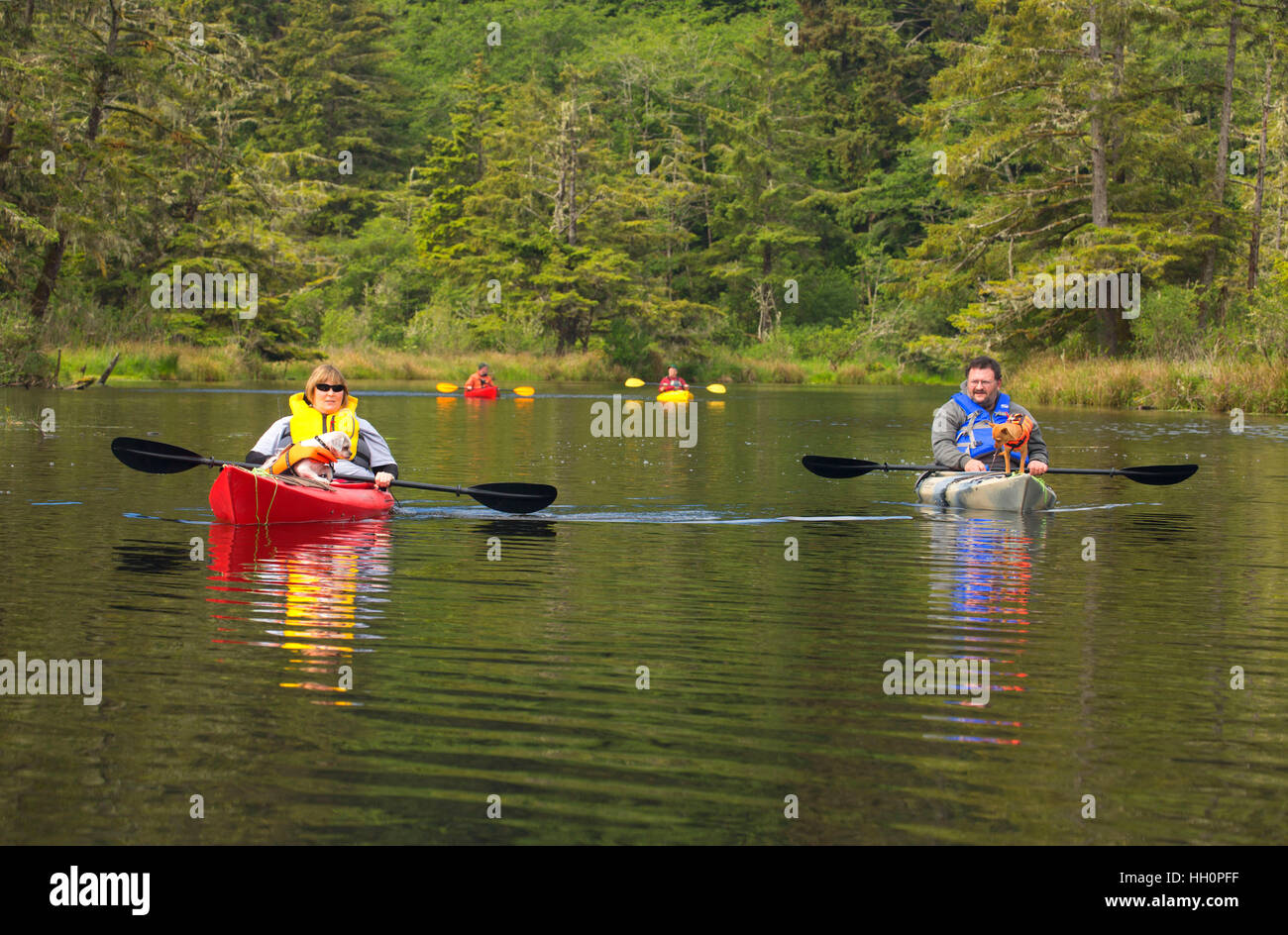 Kayaker on Beaver Creek, Brian Booth State Park, Oregon Stock Photo - Alamy