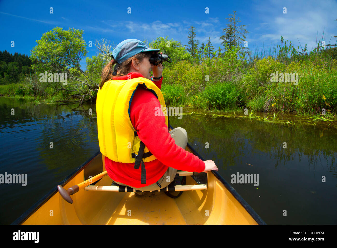 Birding from canoe on Beaver Creek, Brian Booth State Park, Oregon ...