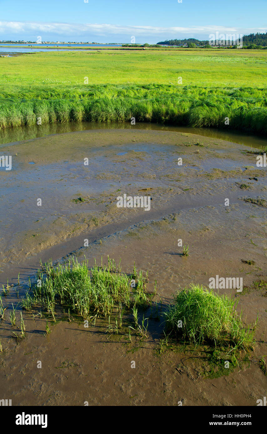Bay refuge hi-res stock photography and images - Alamy