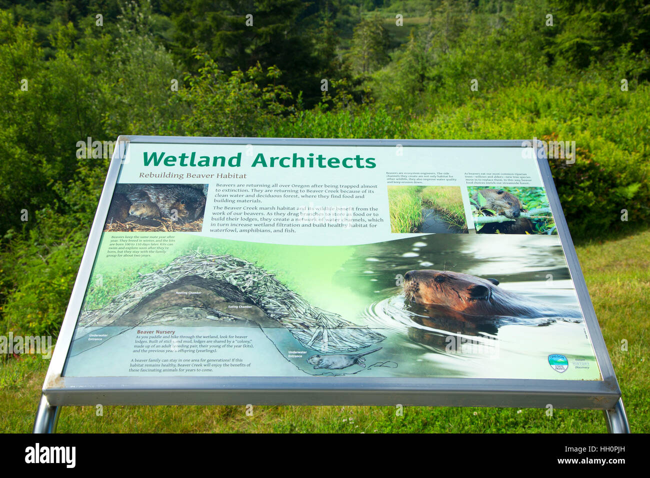 Interpretive board, Brian Booth State Park, Oregon Stock Photo - Alamy