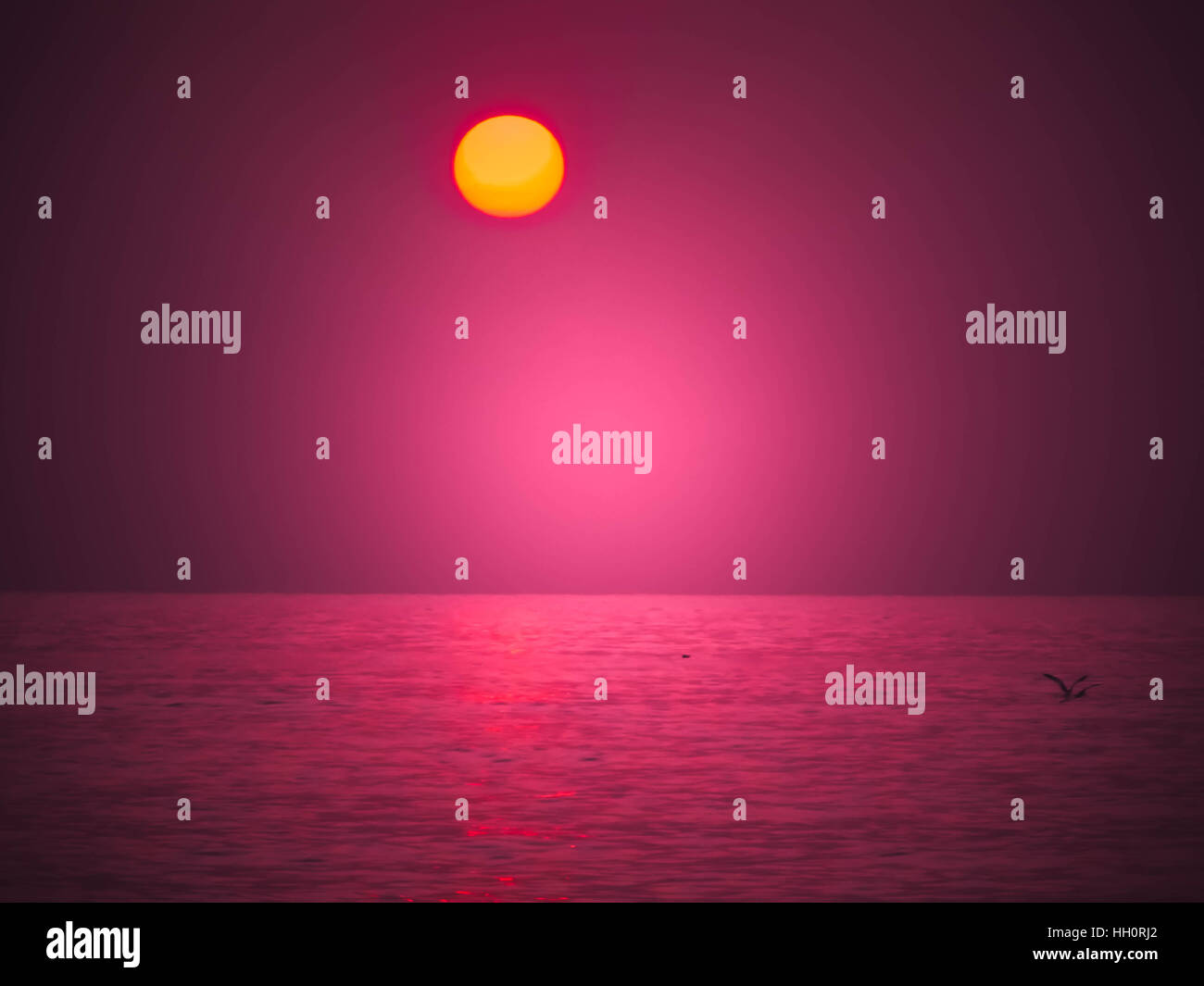 Sun in sky over the sea in the pink colors Stock Photo - Alamy