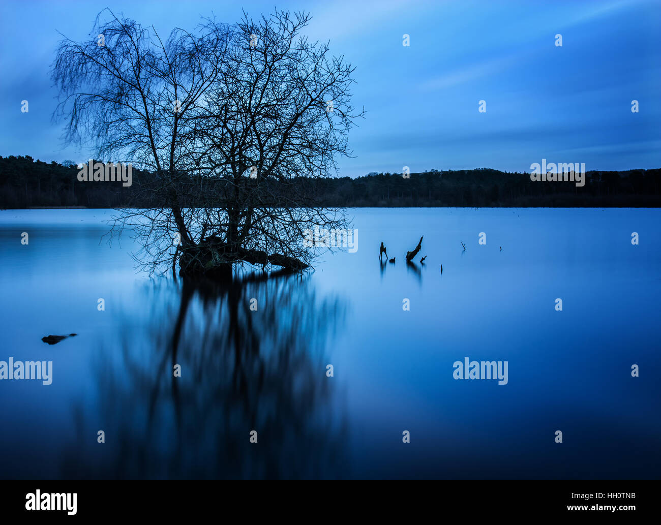 Predominant colour blue hi-res stock photography and images - Alamy