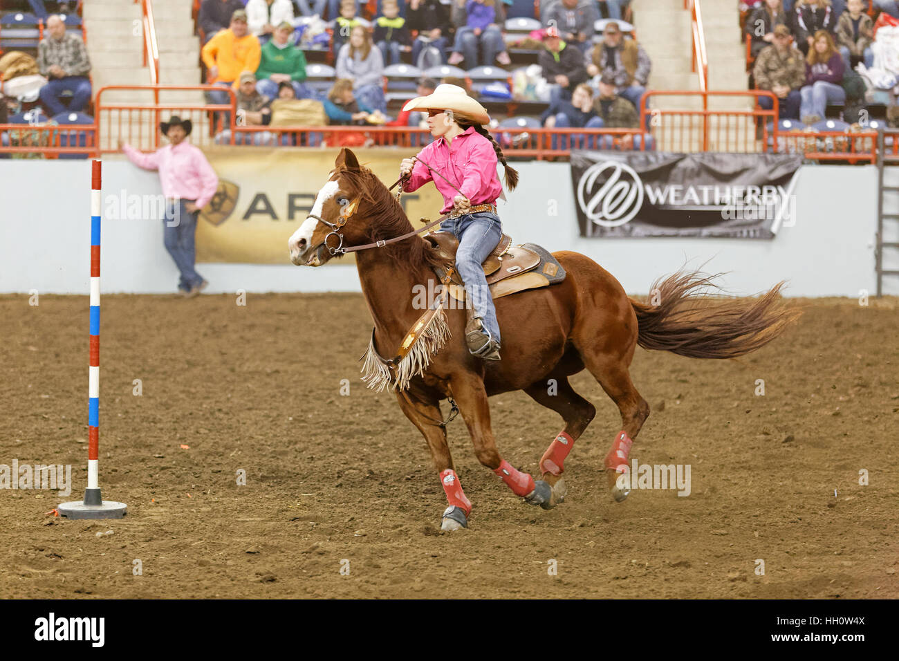 A young cowgirl competes in the pole racing event at the Farm Show ...