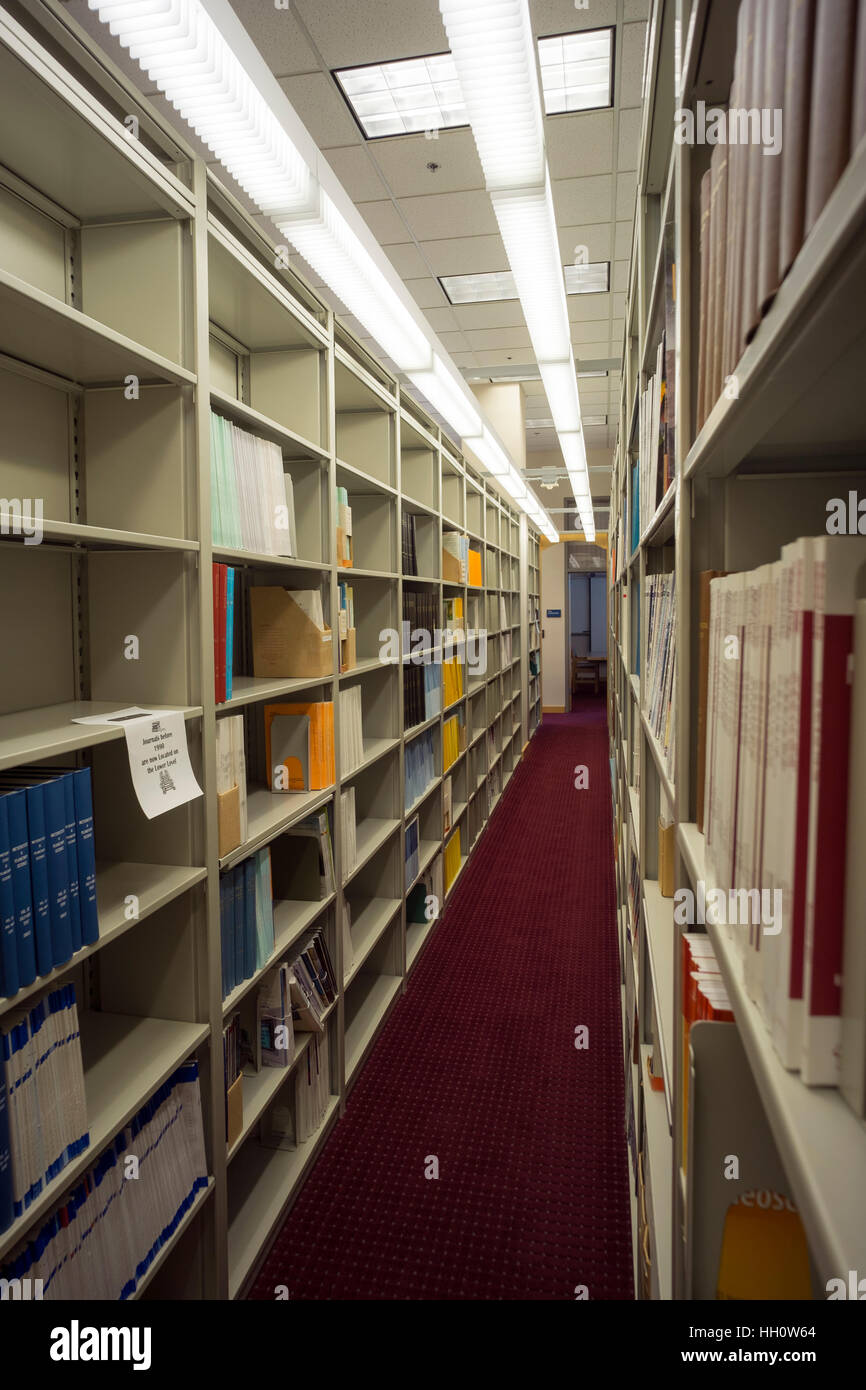 Empty Library Shelves