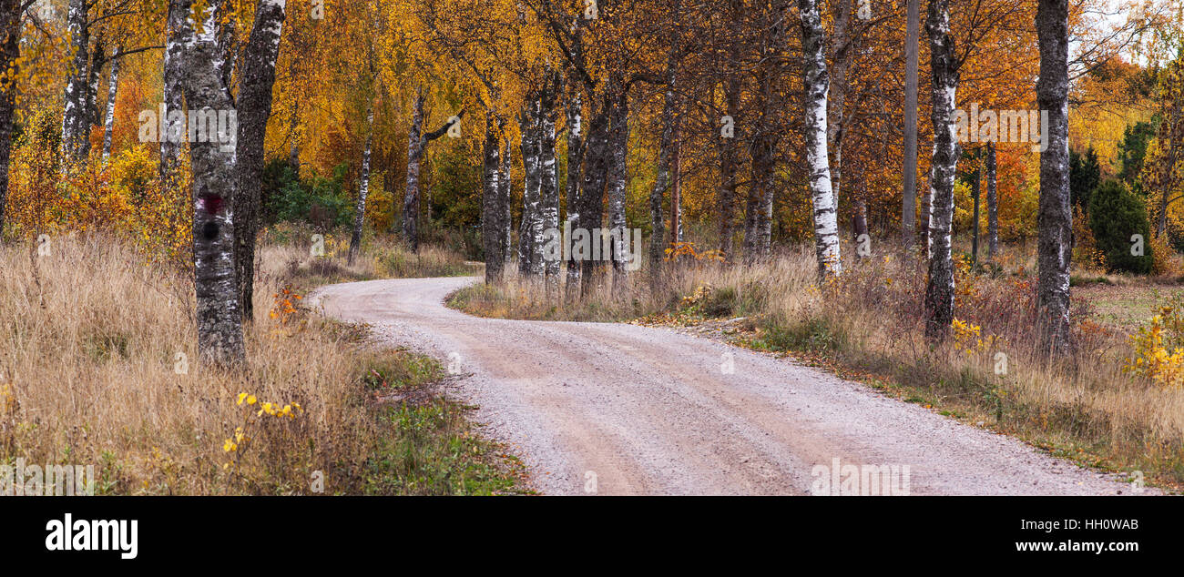 Scandinavian, Nordic trail, gravel road through the countryside. Travel ...
