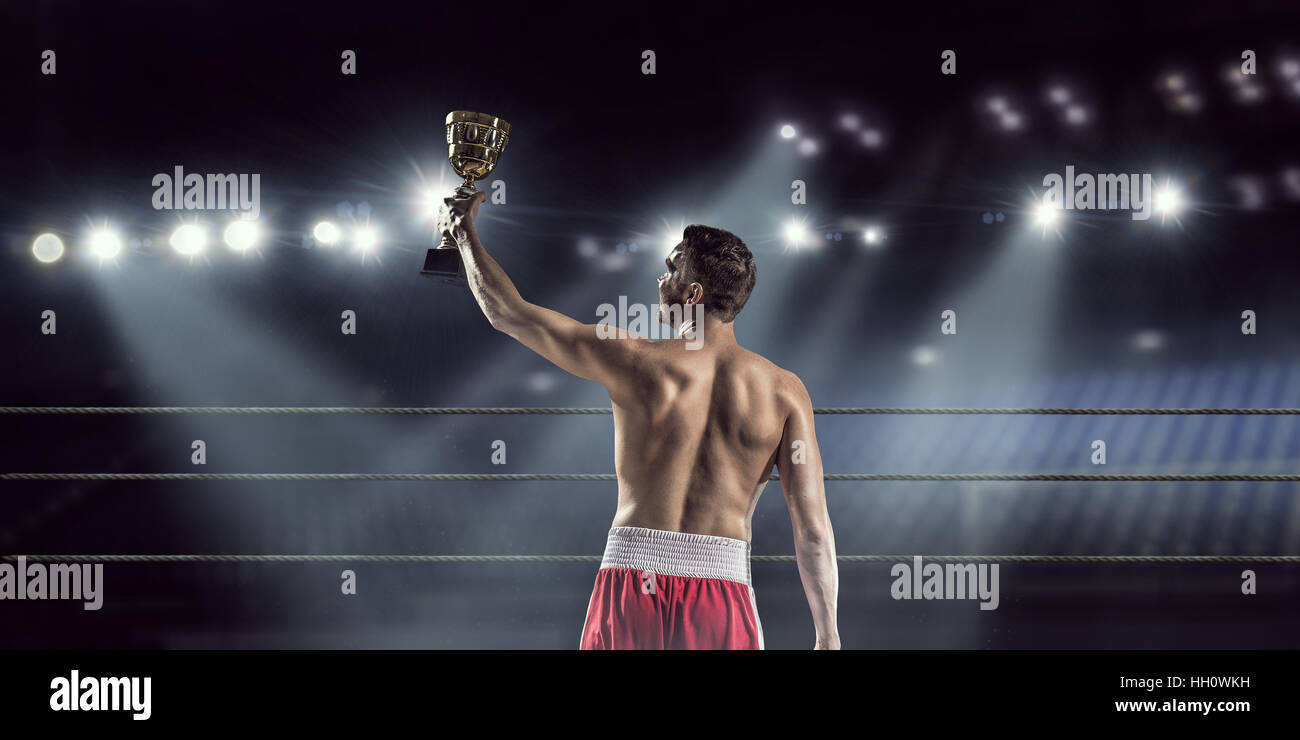 Professional box fighter on grand arena. Mixed media Stock Photo - Alamy