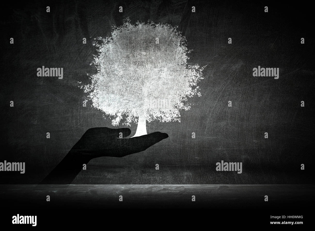 Hand holding tree shadow sign on concrete background Stock Photo - Alamy