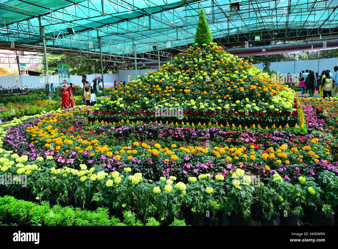 Flower exhibition show hi-res stock photography and images - Alamy