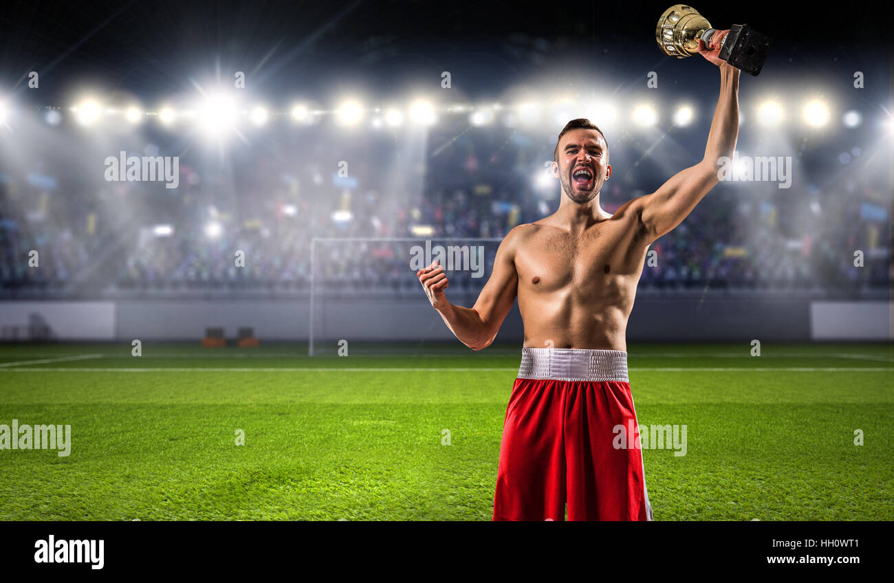 Professional box fighter on grand arena. Mixed media Stock Photo - Alamy