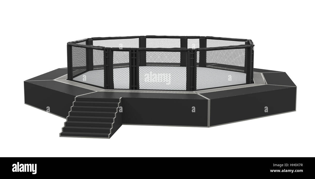 MMA Fight Cage Arena Isolated Stock Photo - Alamy