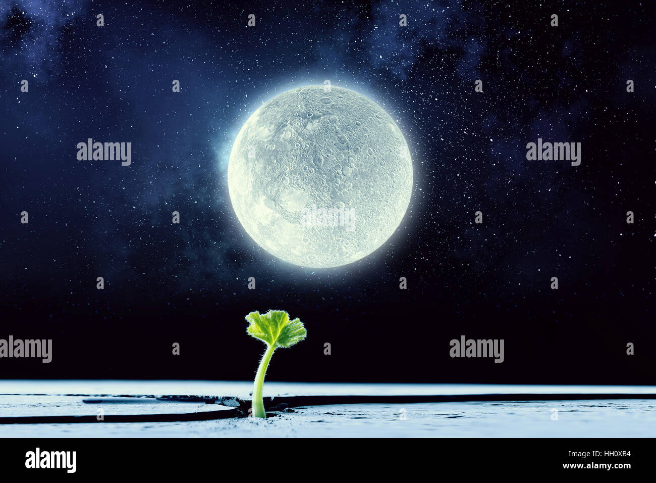 Background image with green sprout growing on moon surface Stock Photo ...