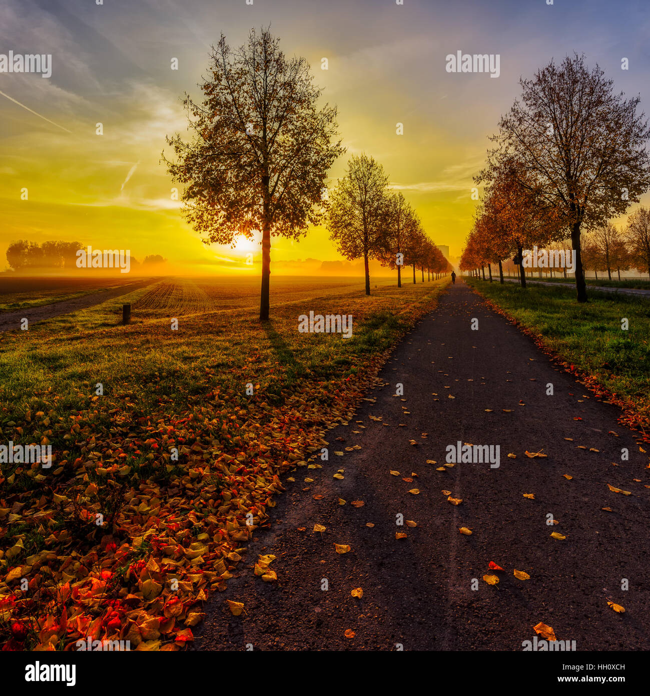 Sky dramatic future hi-res stock photography and images - Alamy