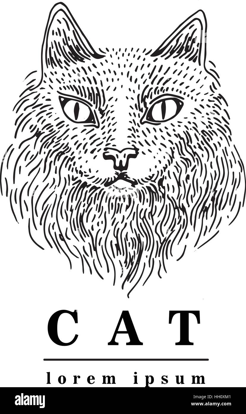 Cat illustration vector Stock Vector Image & Art - Alamy