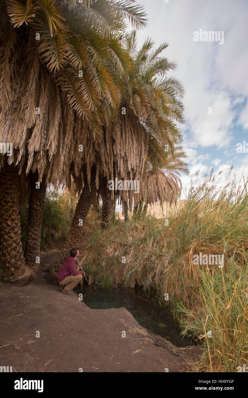 Oasis tour hi-res stock photography and images - Alamy