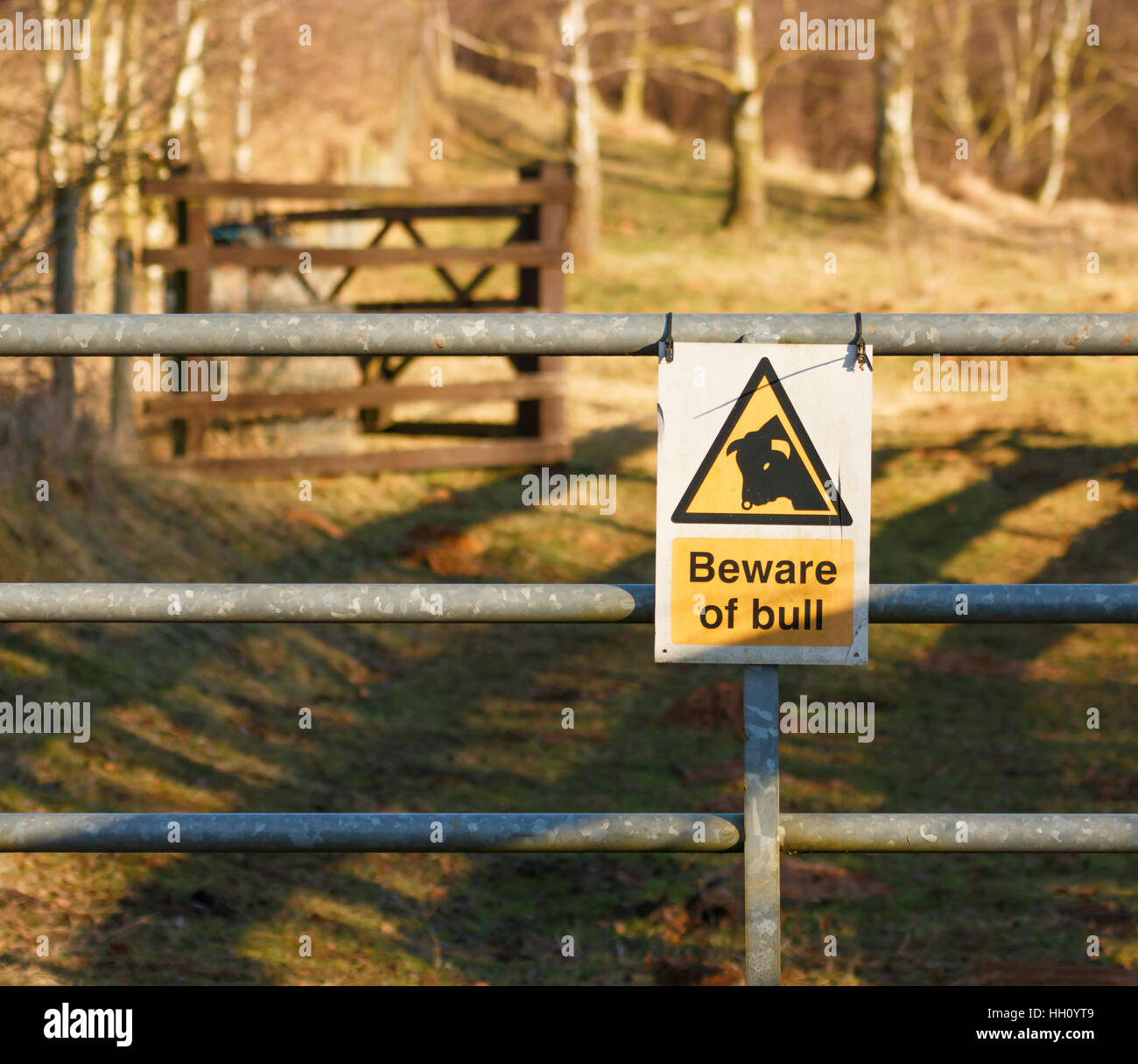 Beware of Bull sign on gate Stock Photo - Alamy