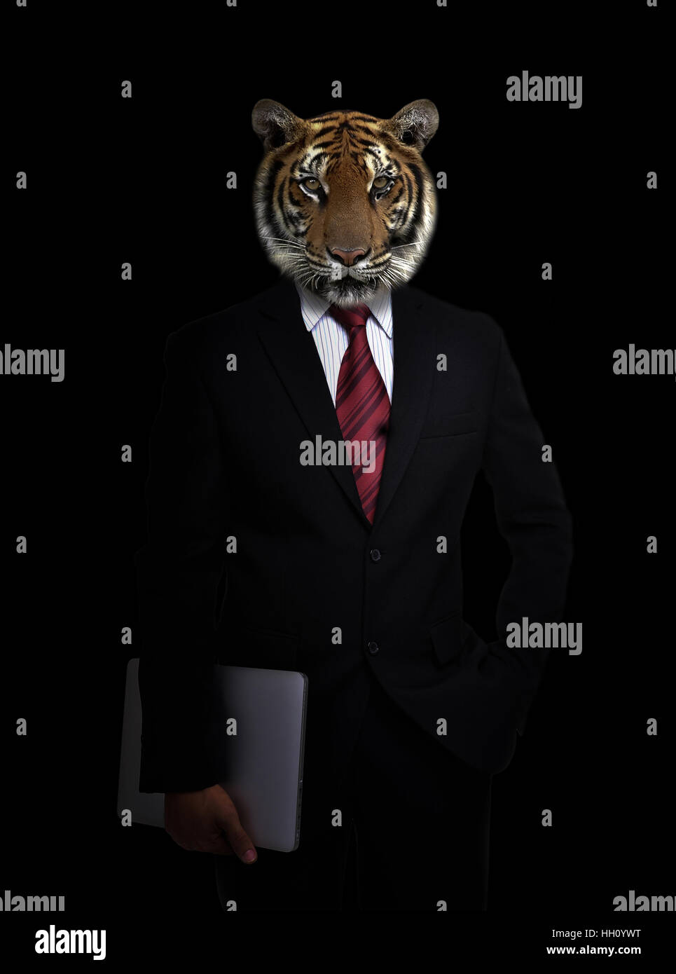 Business man tiger head isolated hi-res stock photography and images ...