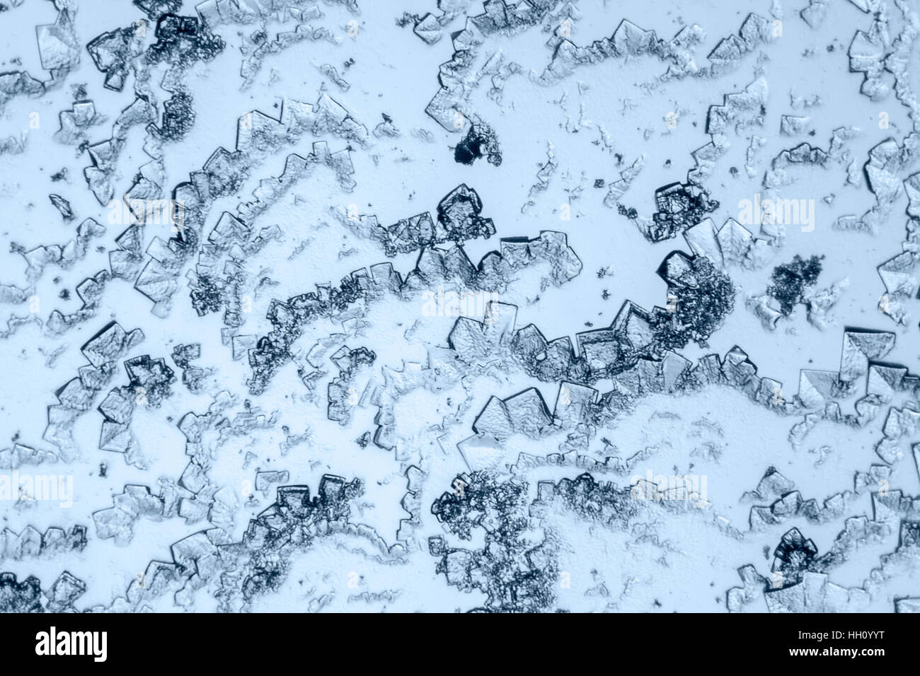 cool toned microscopic shot showing some microcrystals Stock Photo - Alamy