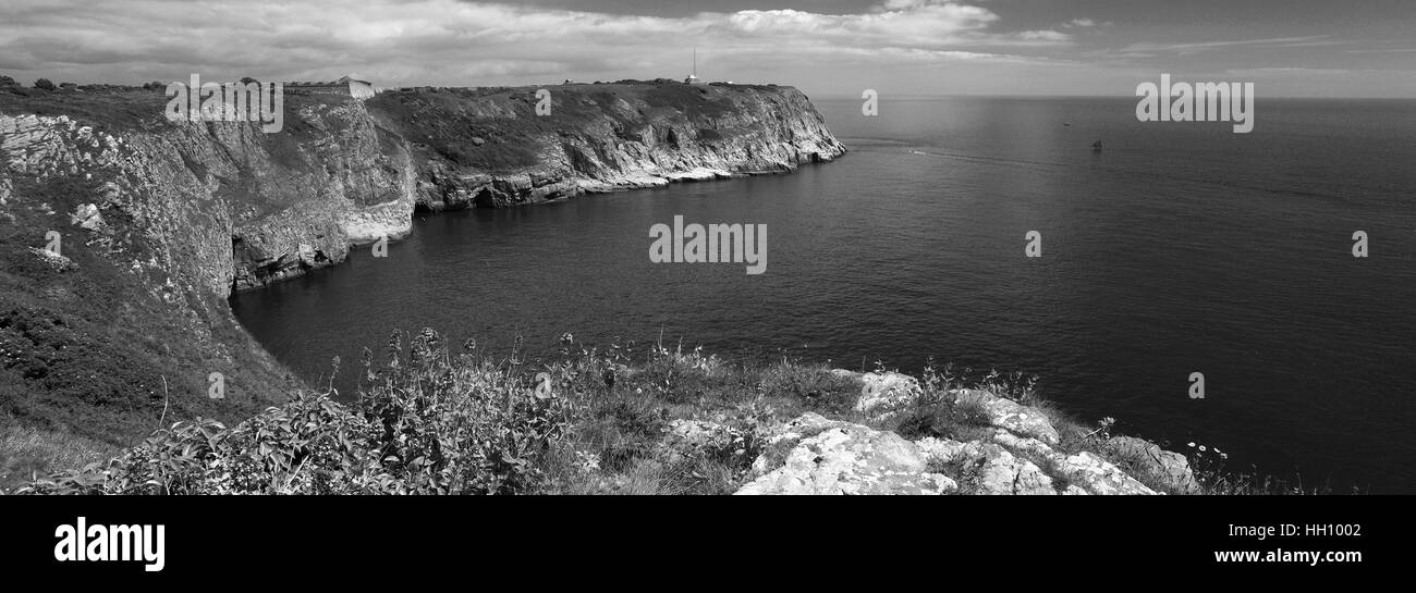Summer, cliffs at Berry Head National Nature Reserve, Torbay, English ...