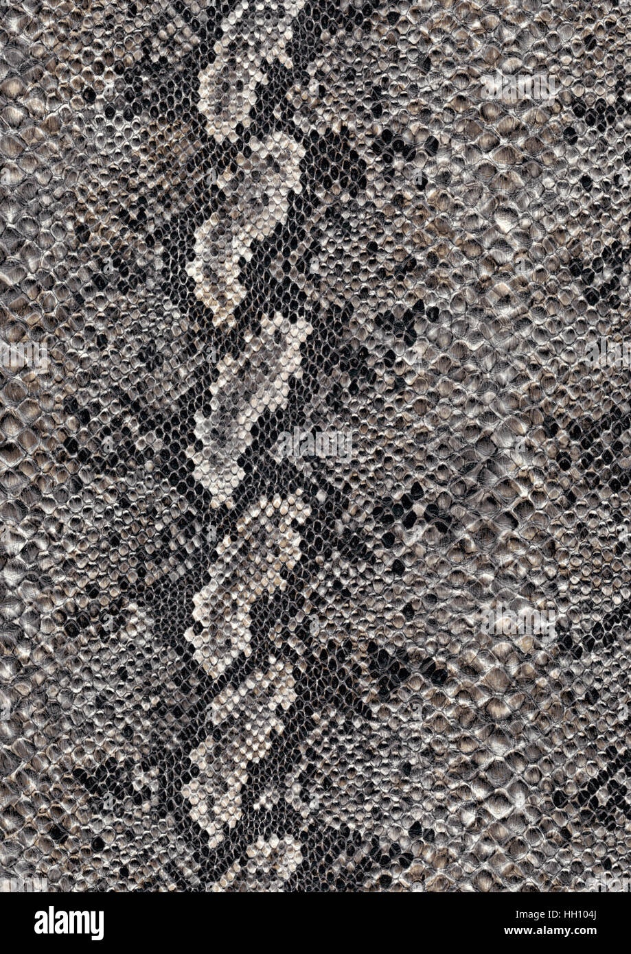 full frame scaled abstract grey patterned reptile skin surface Stock ...