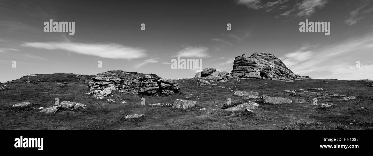 Summer, Haytor Down, Haytor Rocks, Dartmoor National Park, Devon County ...