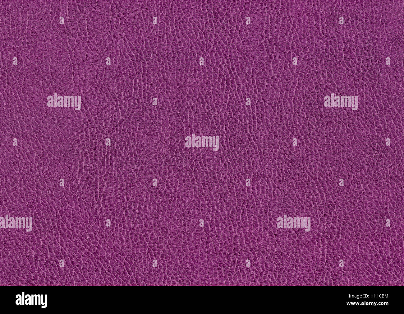 Violet leather texture hi-res stock photography and images - Alamy