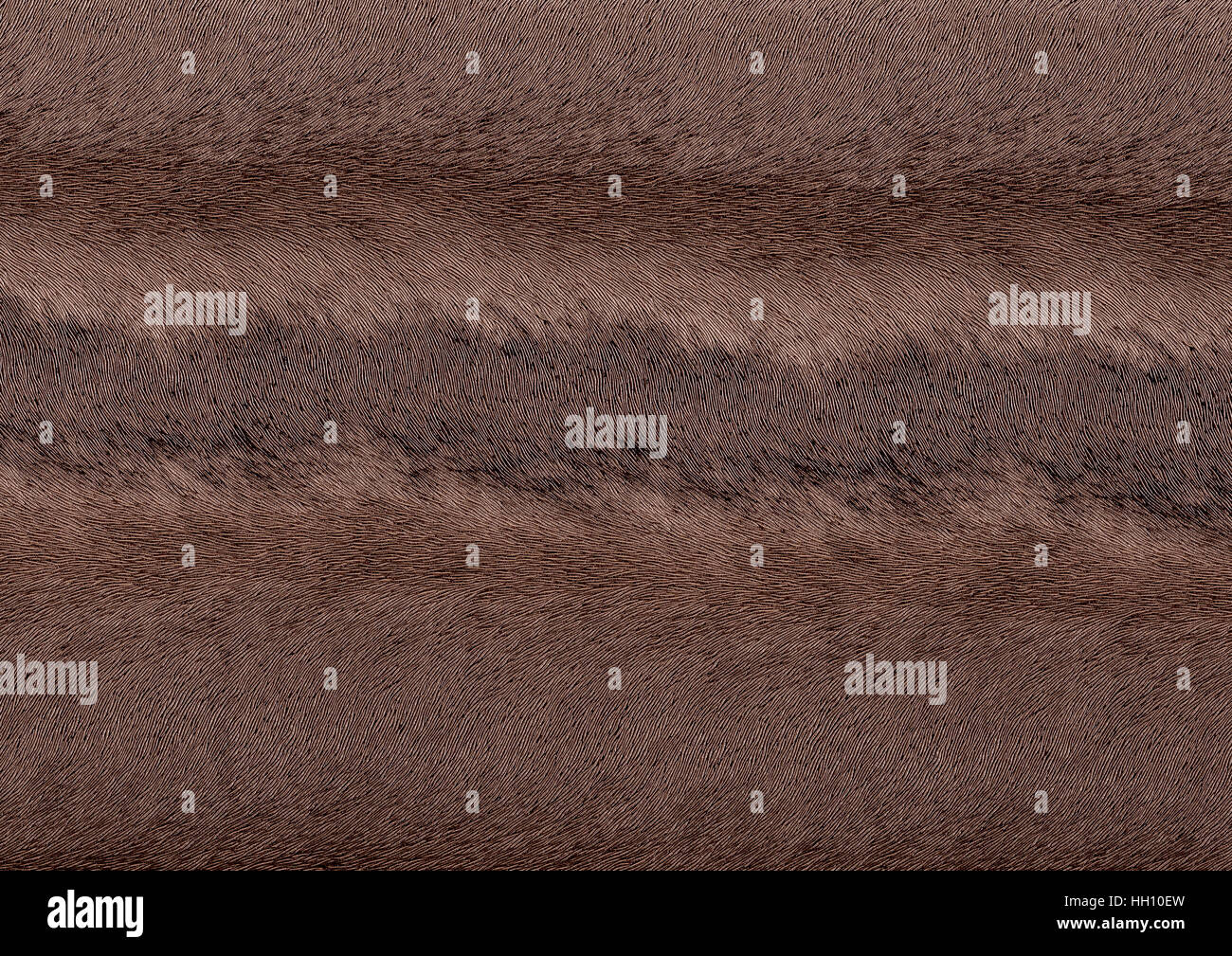 full frame abstract fine lined dark brown pattern Stock Photo - Alamy