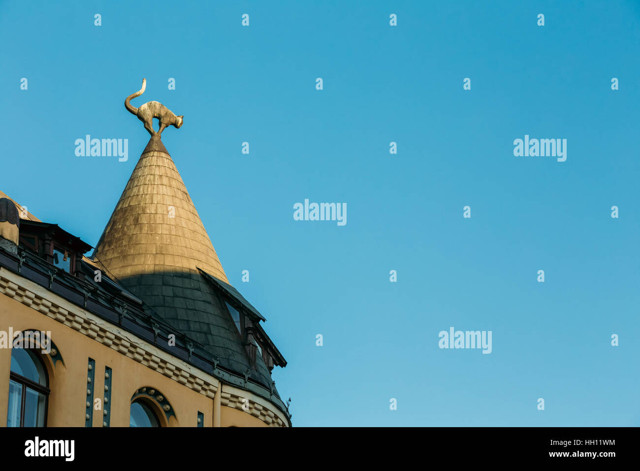 Arched cat hi-res stock photography and images - Alamy