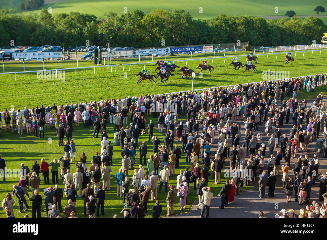 Goodwood Race Course Stock Photo - Alamy