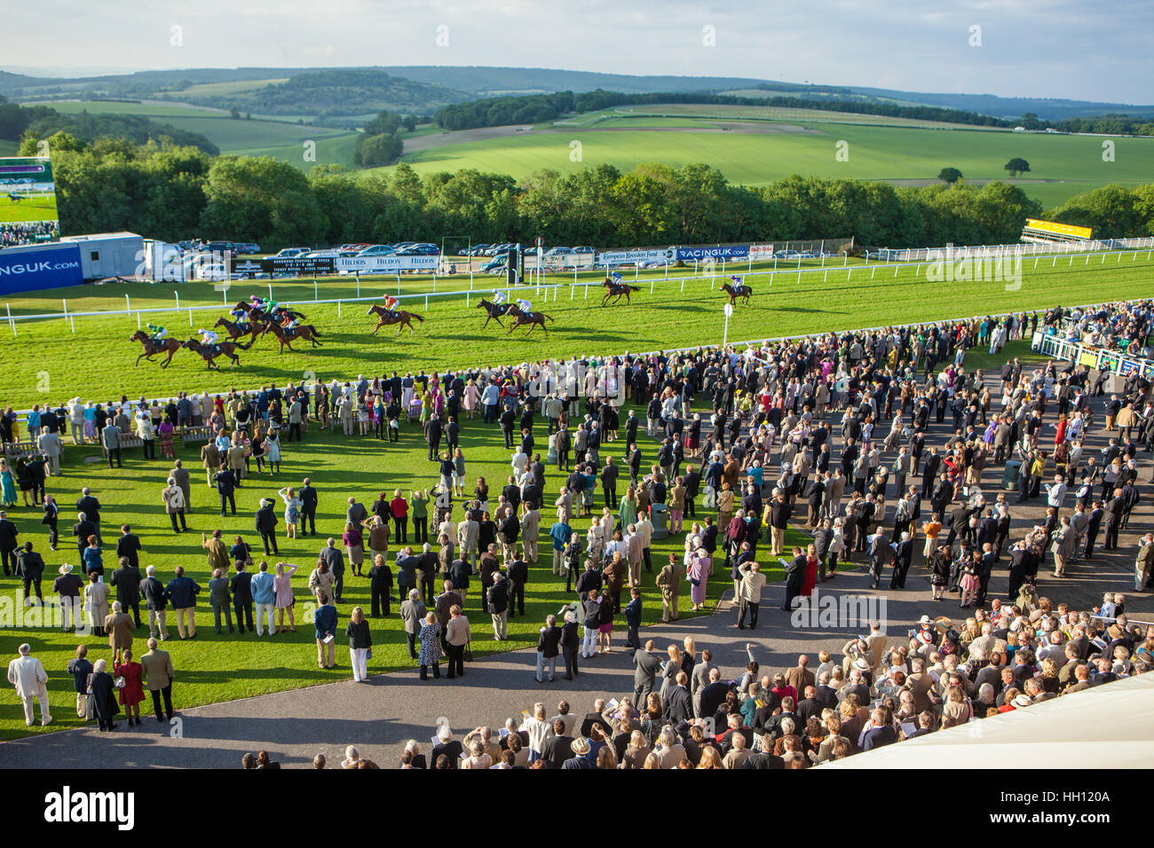 Goodwood Race Course Stock Photo - Alamy