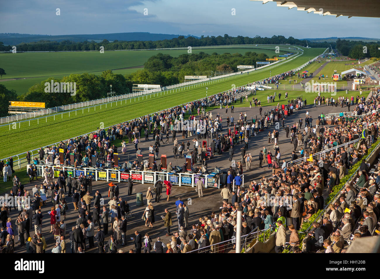 Goodwood race track horses hi-res stock photography and images - Alamy
