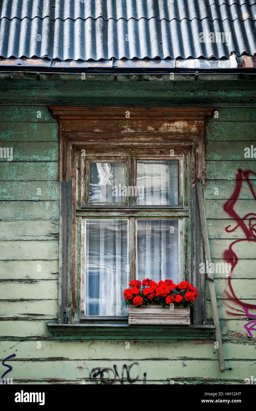 Close-up of building exterior with window decorated with red flowers ...