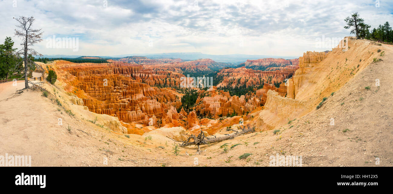 Bryce Canyon landscape from the top of mountain Stock Photo - Alamy