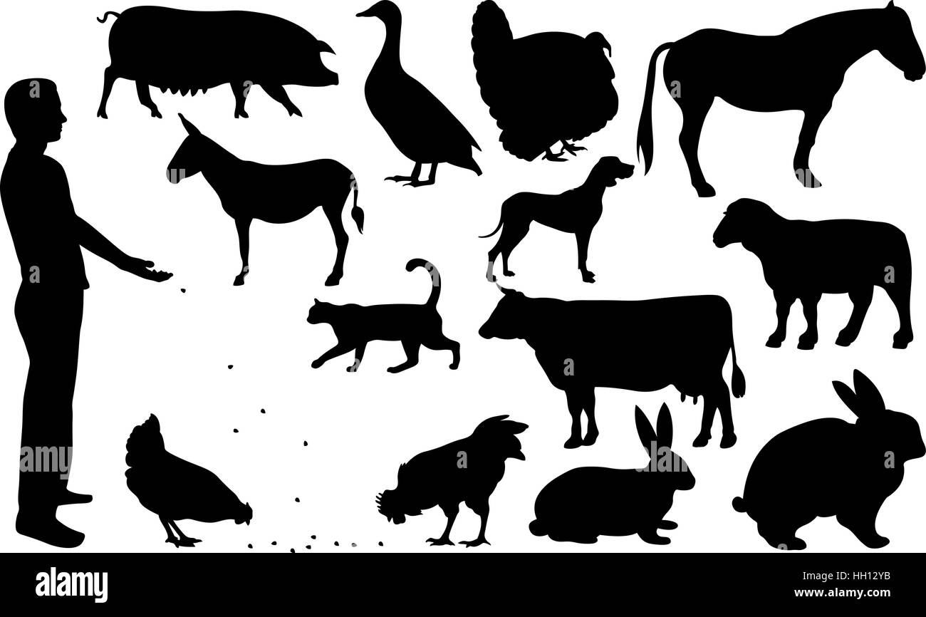 set of different farm animals isolated Stock Vector Image & Art - Alamy