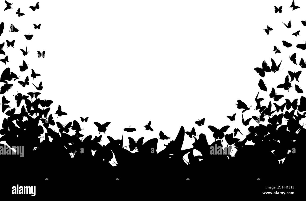 butterflies frame isolated Stock Vector Image & Art - Alamy