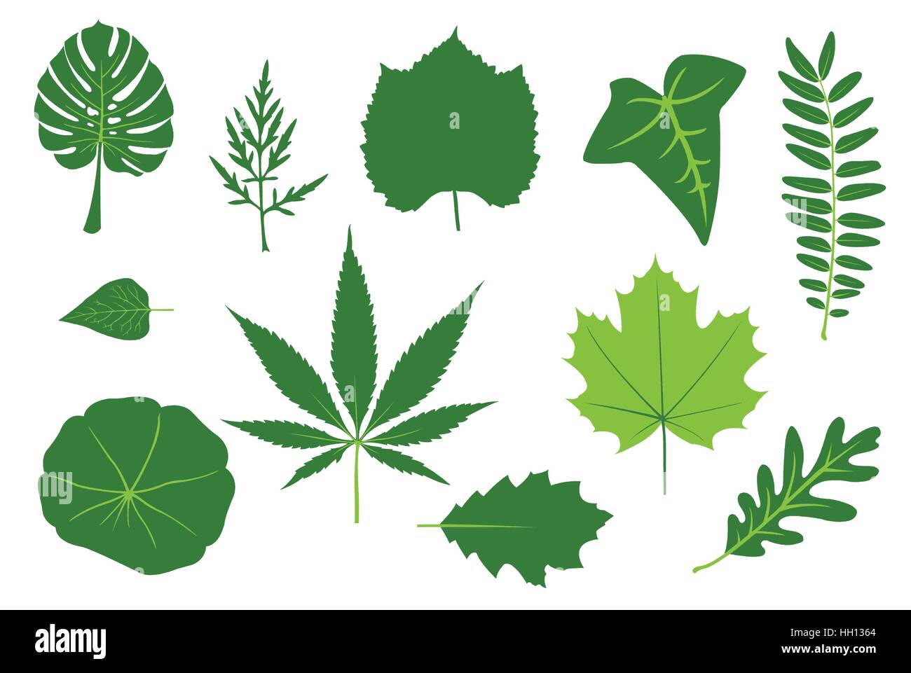 Different leaf pattern hi-res stock photography and images - Alamy