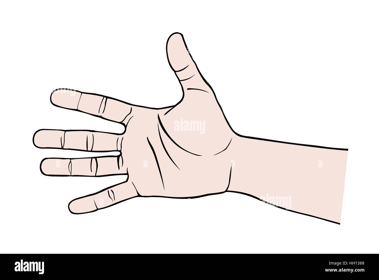 illustration of a hand isolated Stock Vector Image & Art - Alamy