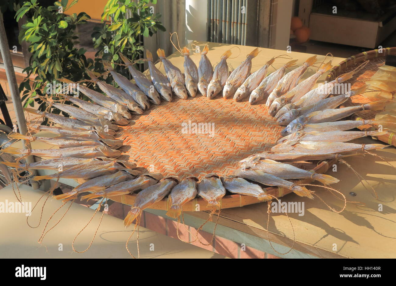 Souvenir dried fish hi-res stock photography and images - Alamy